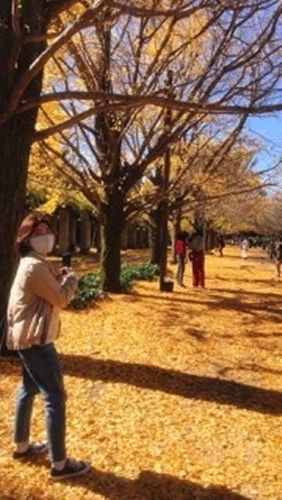 Pen Pals from Japan (Pen Friends) - Email Exchange of Language and Cultures