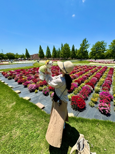 Pen Pals from Japan (Pen Friends) - Email Exchange of Language and Cultures